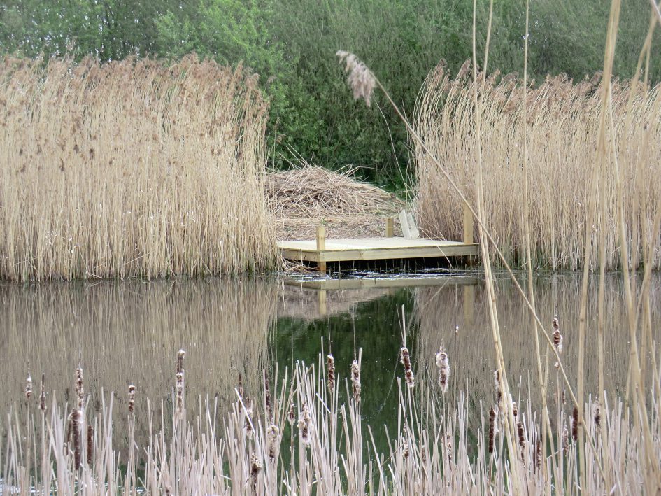 Pond Work Begins! – Sutton Nature Conservation Volunteers